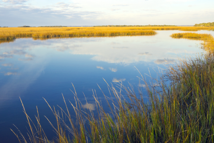 Community Involvement | Environmental Protection Division